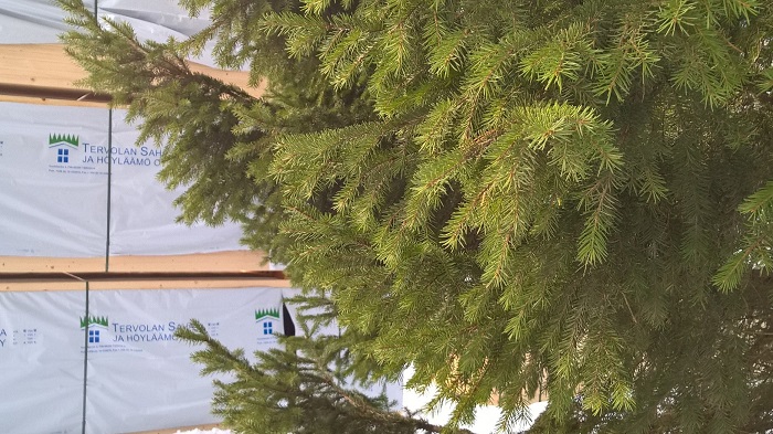 Tervolan Saha ja Höyläämö Oy | Tervolan saha ja höyläämö Oy