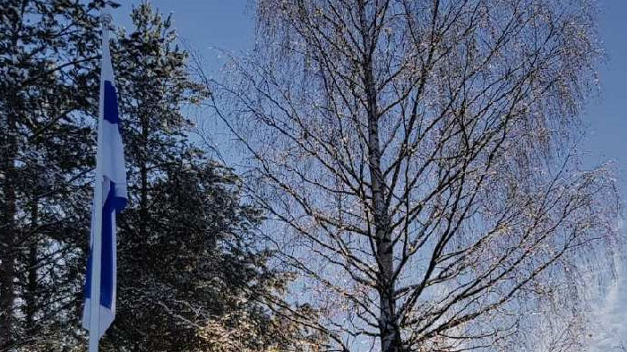 Tervolan Saha ja Höyläämö Oy | Tervolan saha ja höyläämö Oy